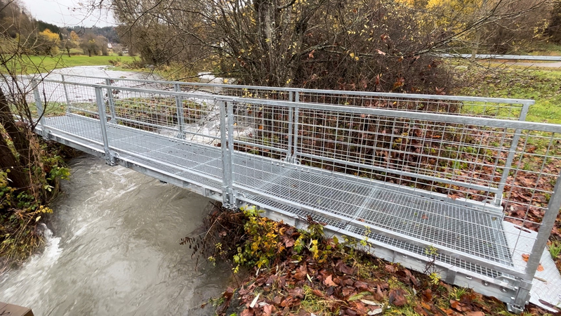 Falpro - Multipurpose Bridge - FreeFalcon